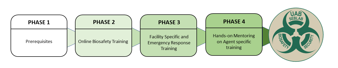 Training and Access - Southeastern Biosafety Lab Alabama Birmingham